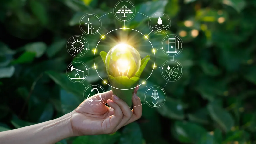 Top 30 Solar Companies in India 2025 | Hyenr Insights
